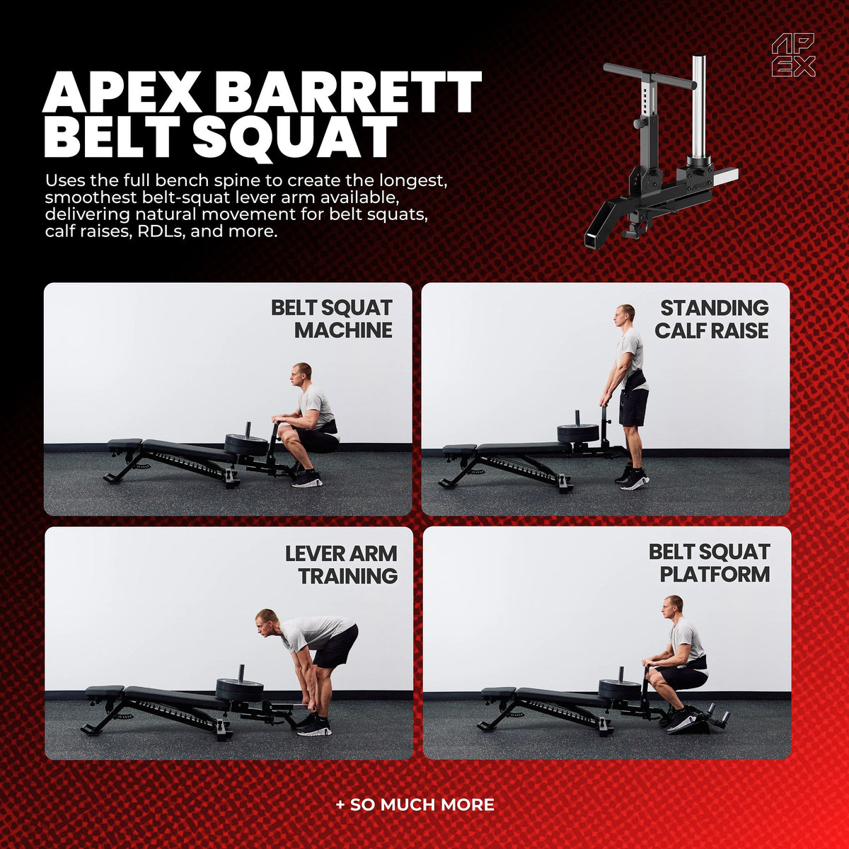 Squat Belt | APEX Belt Squat & Dip Belt | The Tib Bar Guy – APEX FITNESS